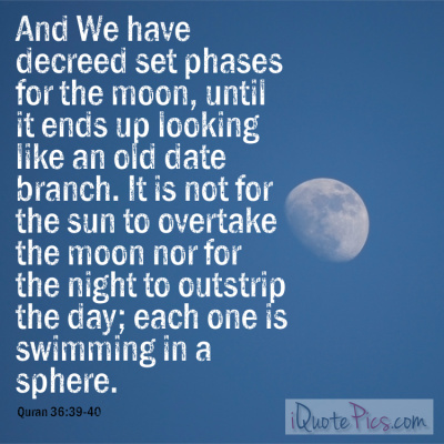 Verses/Ayats from the Quran.